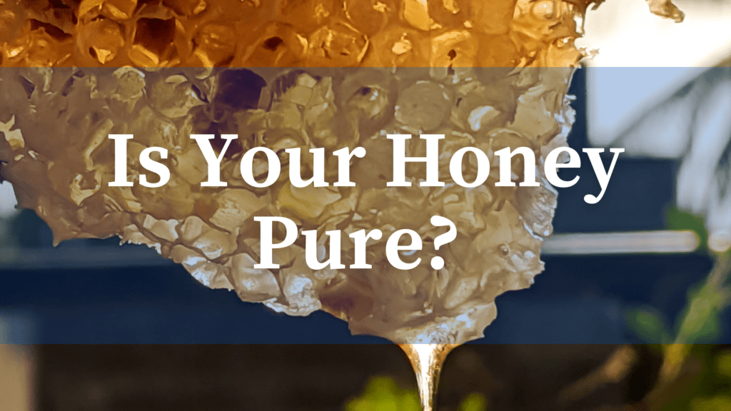 Choosing the Best Pure Honey: 3 Things You Must Know